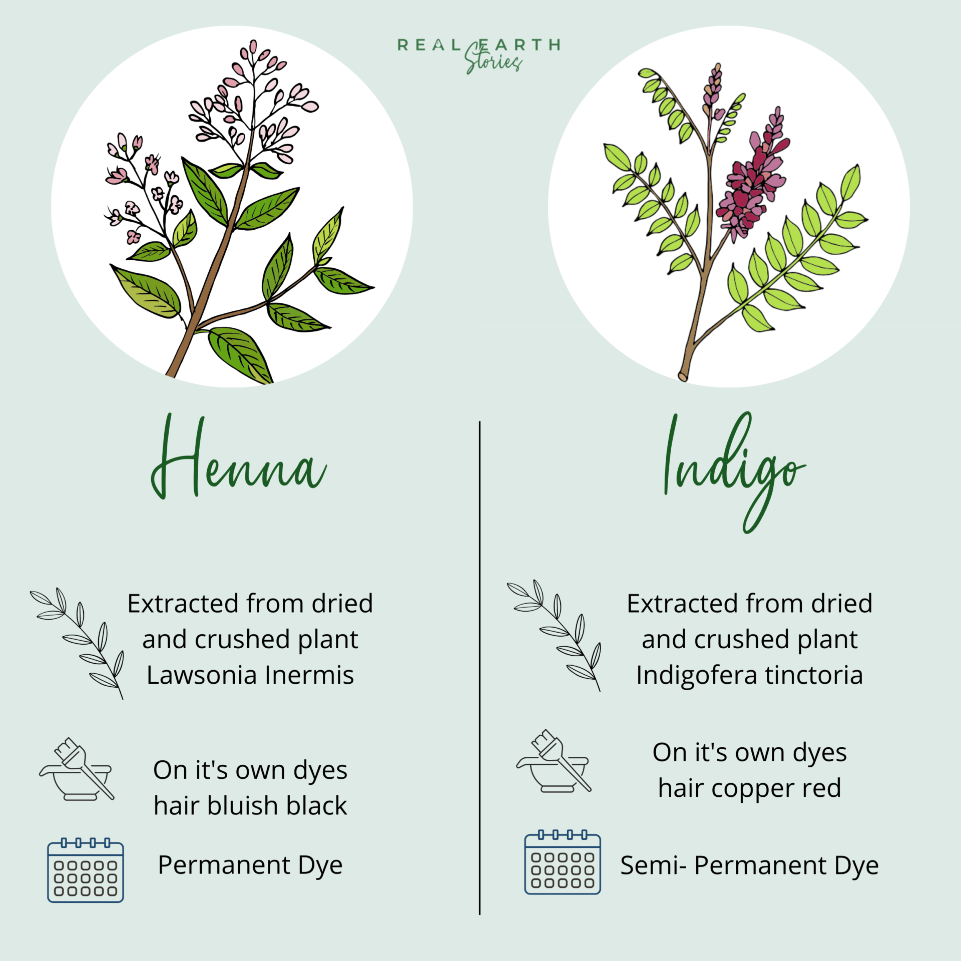 Indigo – Real Earth Stories